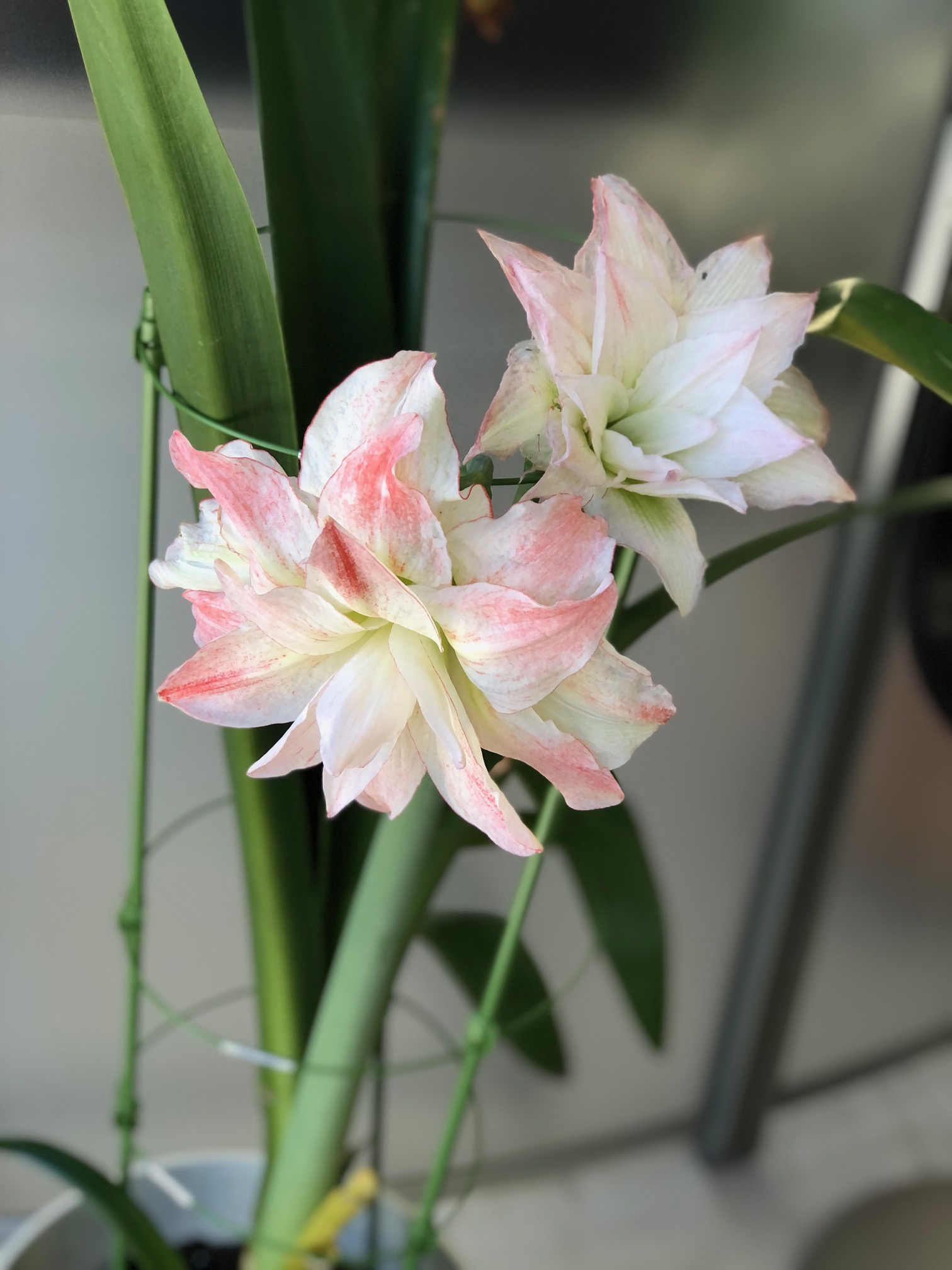 スタッフブログ | EQUAL ZERO