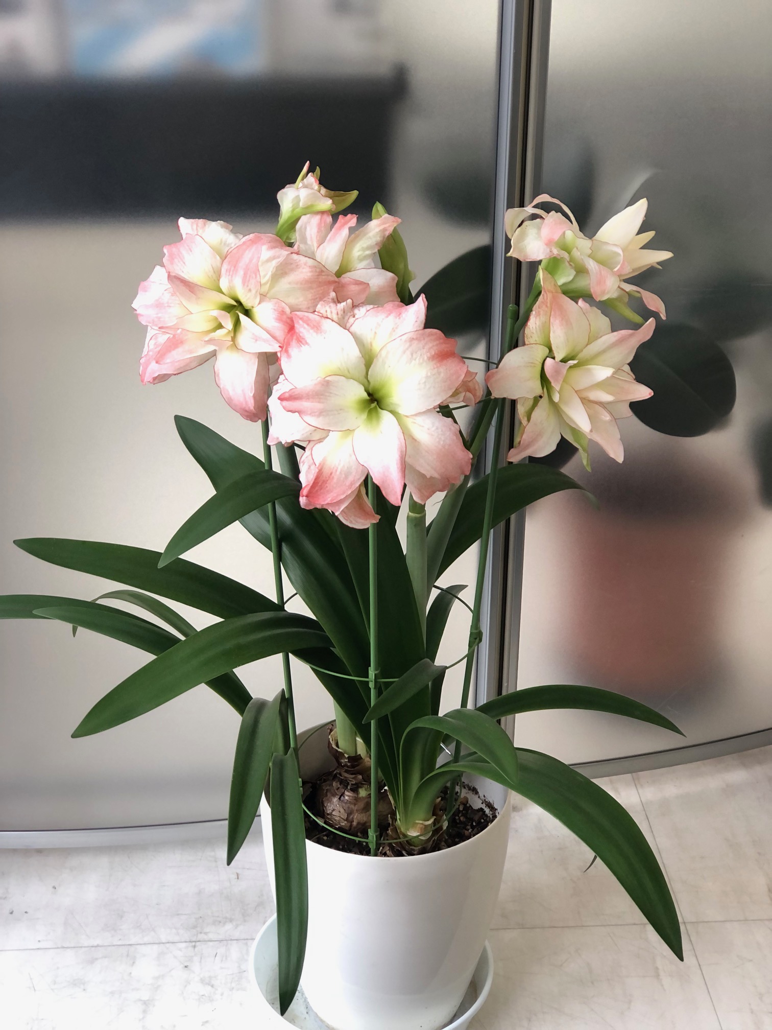 スタッフブログ | EQUAL ZERO